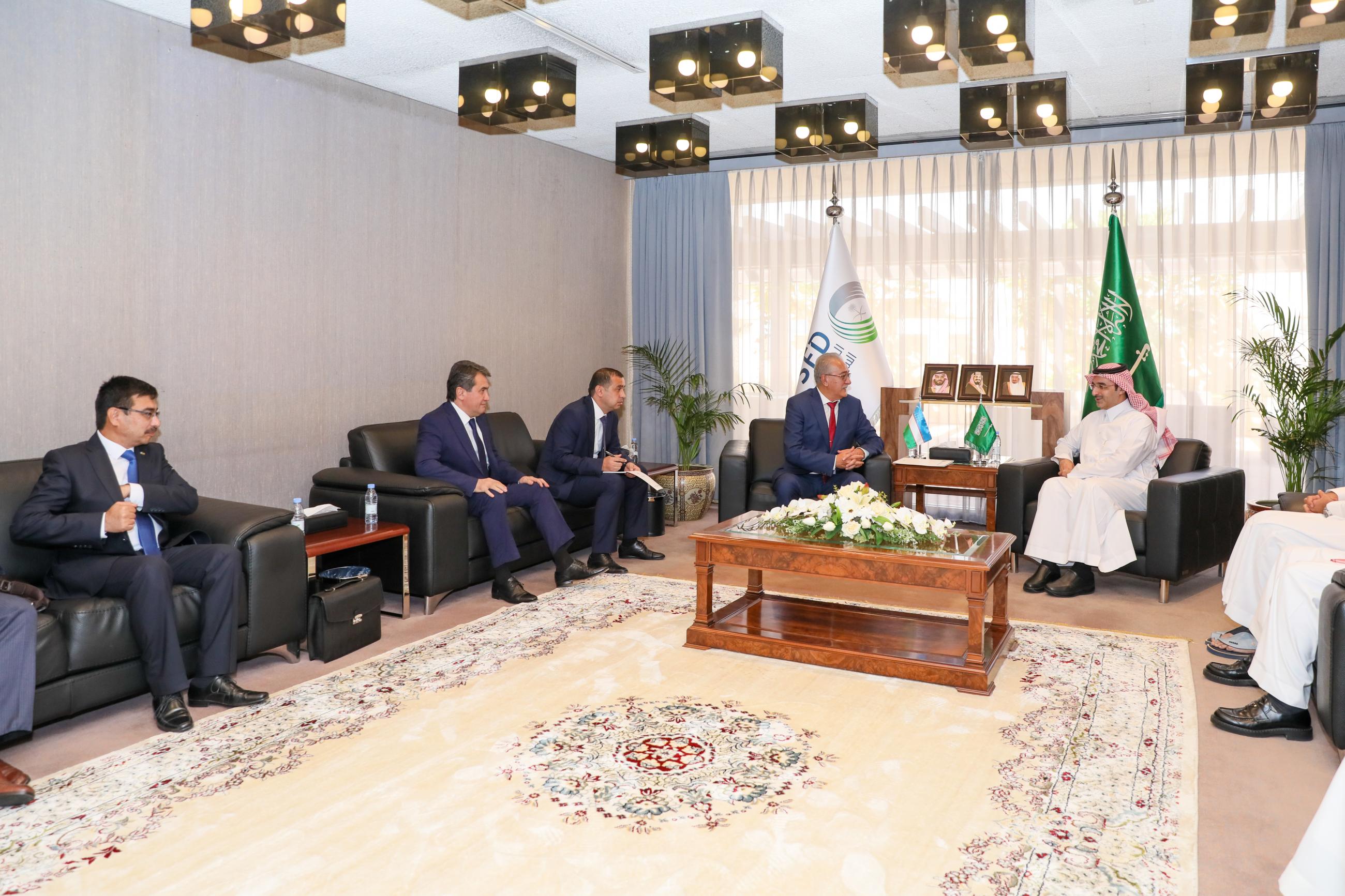 SFD CEO meets with the Special Envoy of the President of the Republic ...